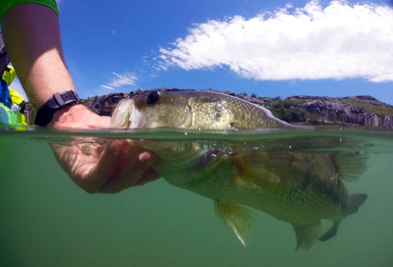 Return to the Pecos | Duct Tape Diaries | NRS