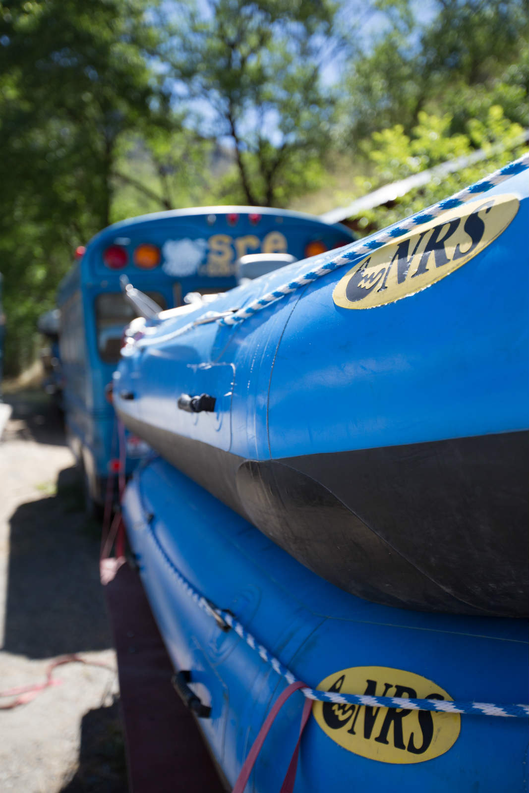 The Audubon Field Guide to Native Ramp ­Life | Duct Tape Diaries | NRS