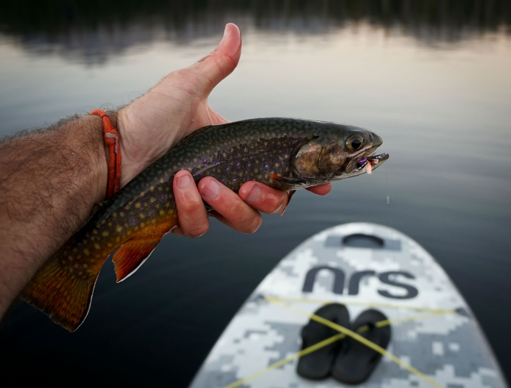 Fishing Like an Osprey | Duct Tape Diaries | NRS