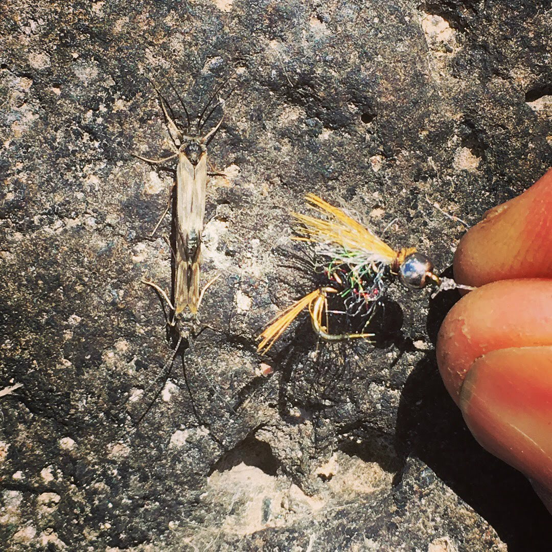 When a Raft Guide Goes Fly Fishing | Duct Tape Diaries | NRS