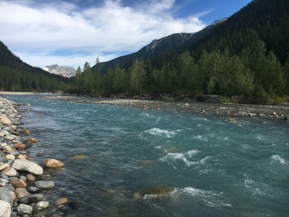 The Great Gamsby | Duct Tape Diaries | NRS