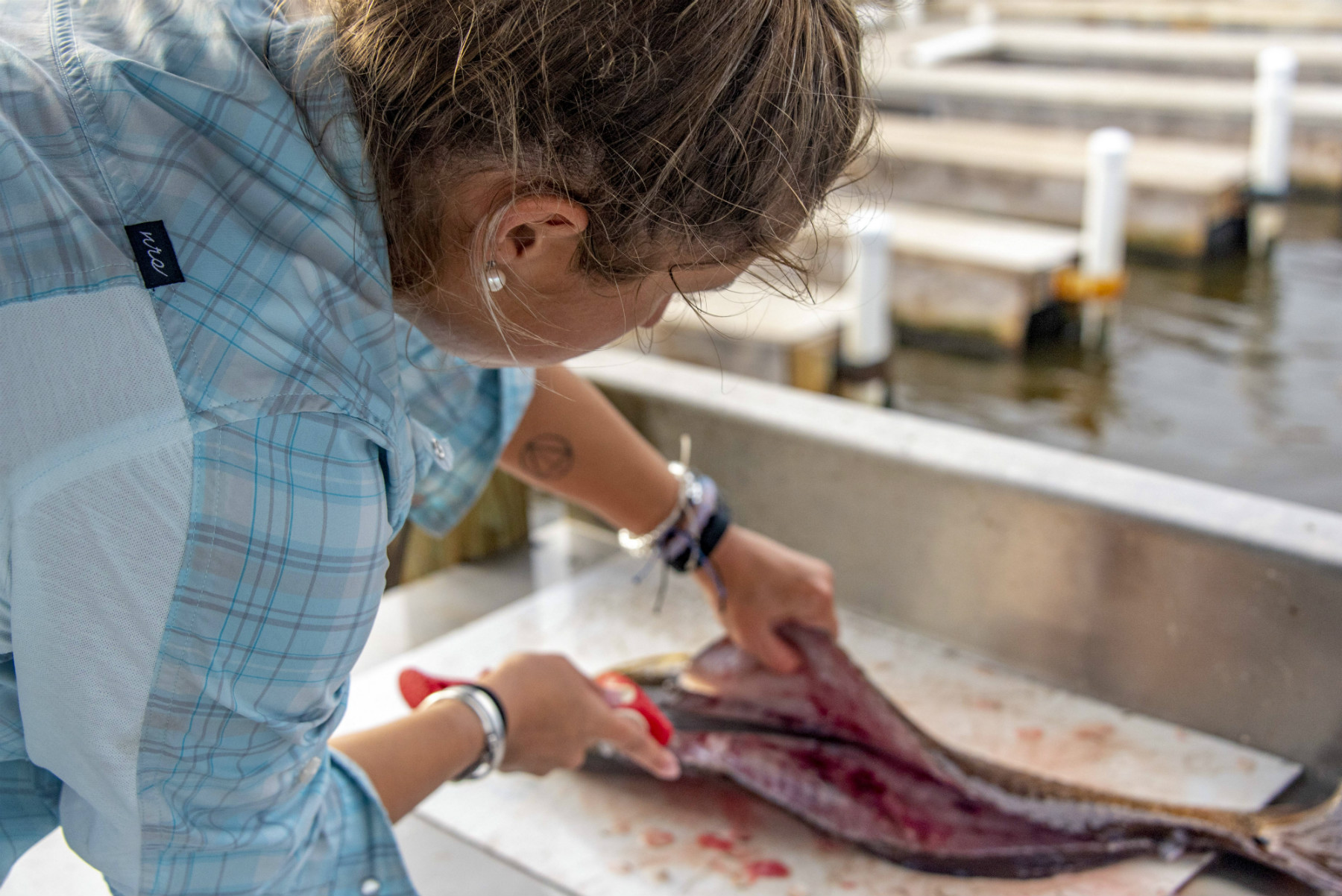 Chasing Reds in the Low Country | Duct Tape Diaries | NRS