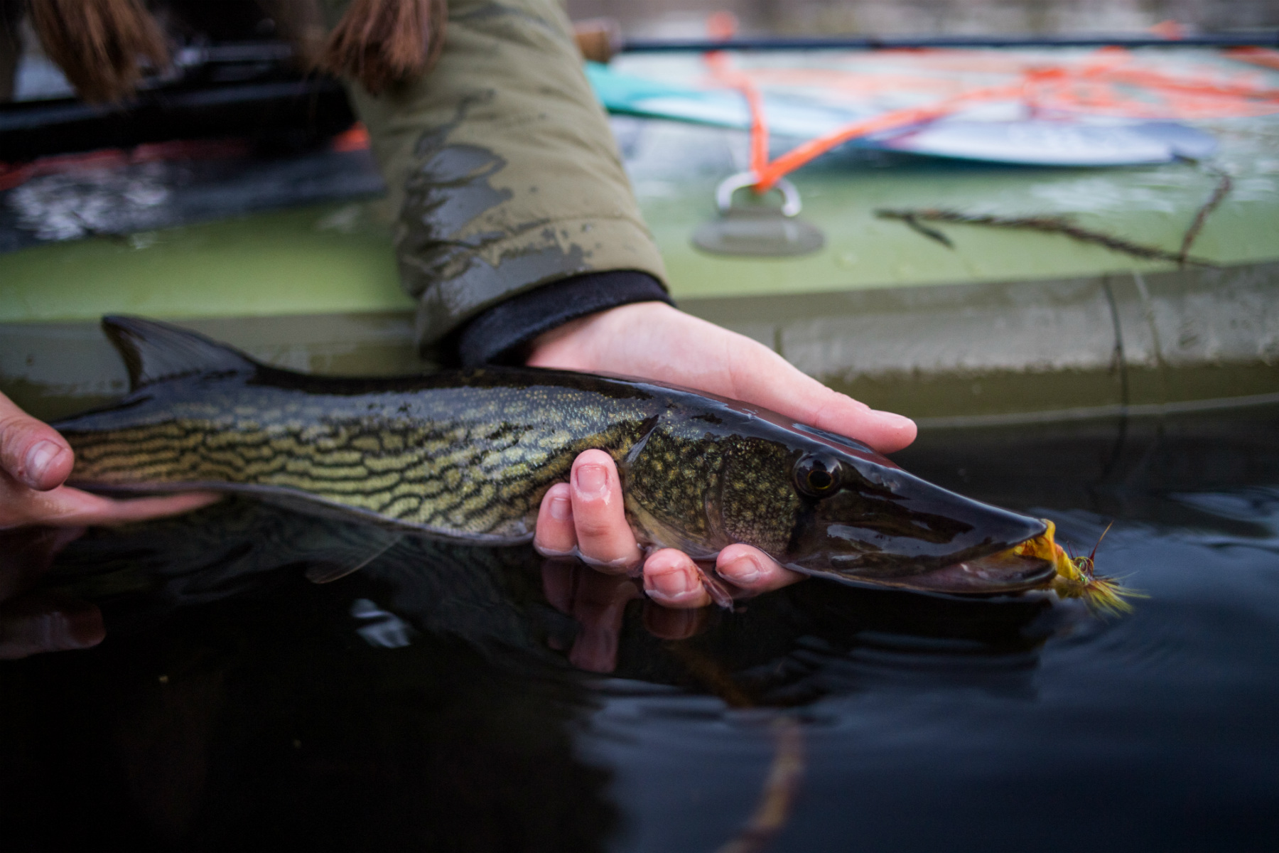 Fishing the Unknowns of Caddo Lake | Duct Tape Diaries | NRS