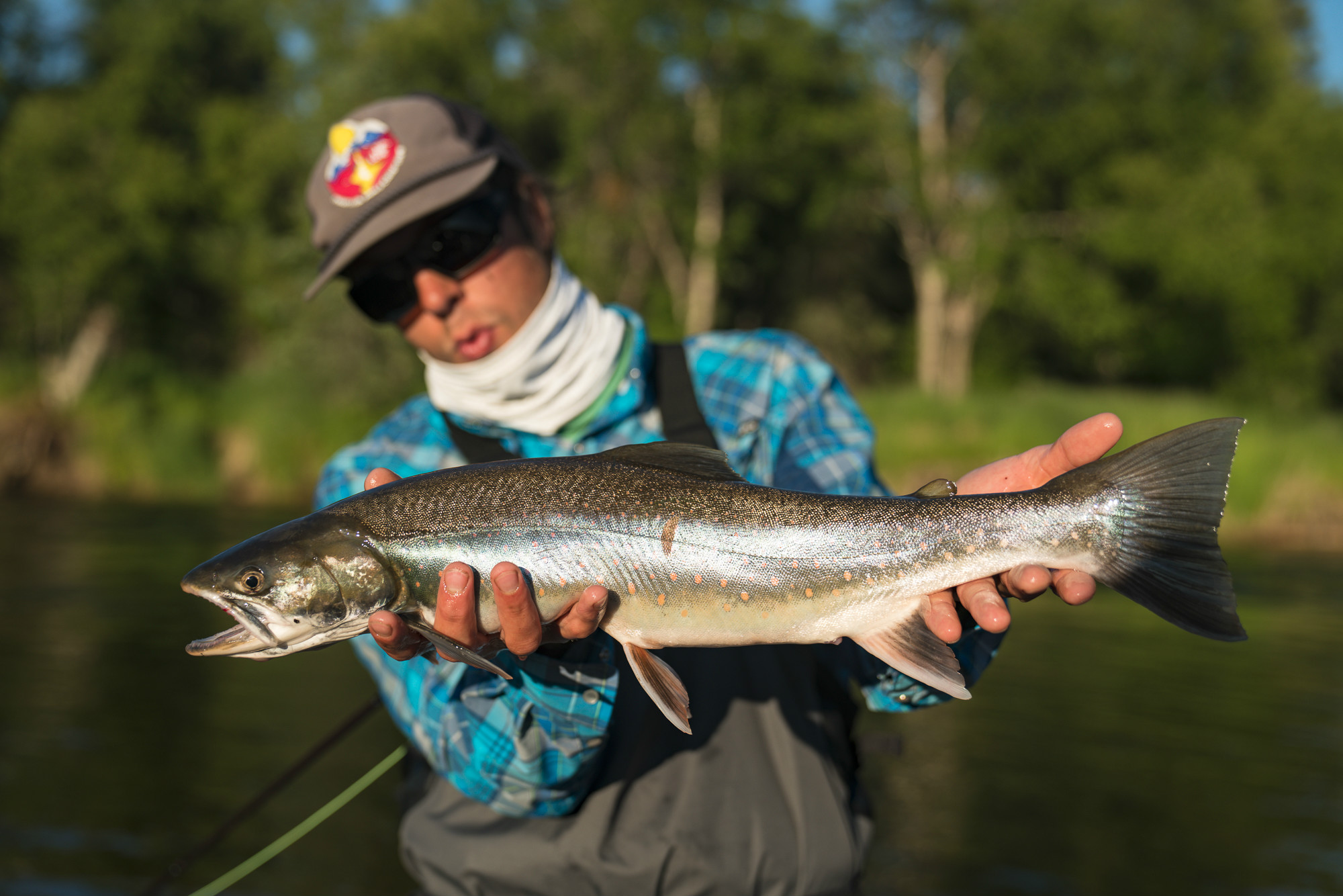 What Lies Beneath the Koktuli River | Duct Tape Diaries | NRS