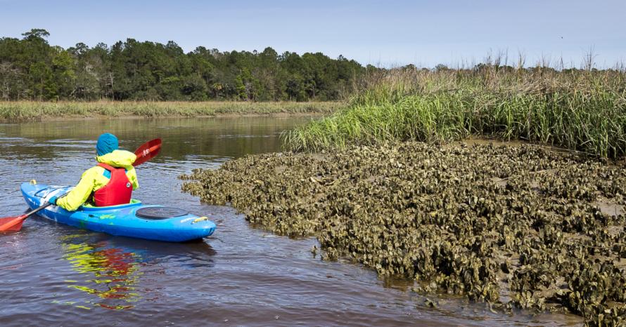 Creeks That Switch Direction: Paddling in South Carolina's Low Country | Duct Tape Diaries | NRS