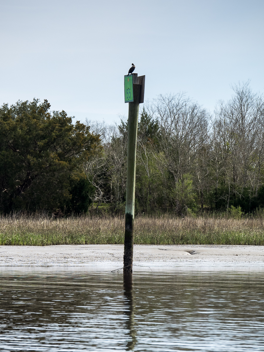 Creeks That Switch Direction: Paddling in South Carolina's Low Country | Duct Tape Diaries | NRS
