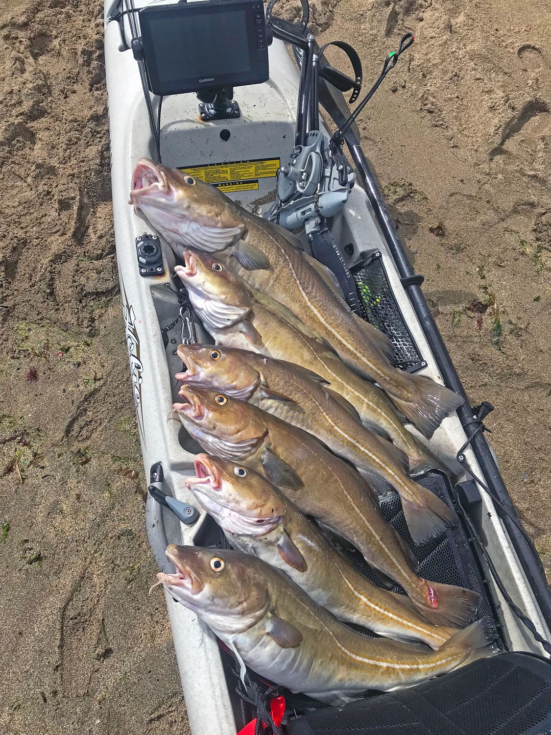 Kayak Fishing for Giant Cod and Coalfish in Scotland | Duct Tape ...