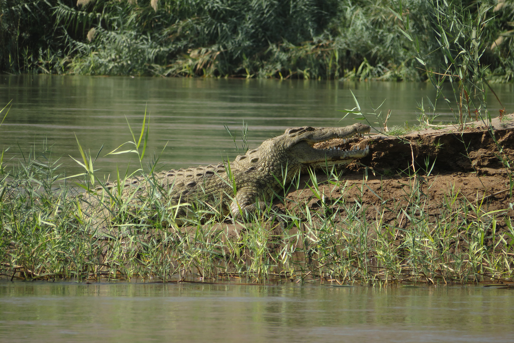 The Real and Mythical Challenges of a Kunene River Expedition | Duct ...