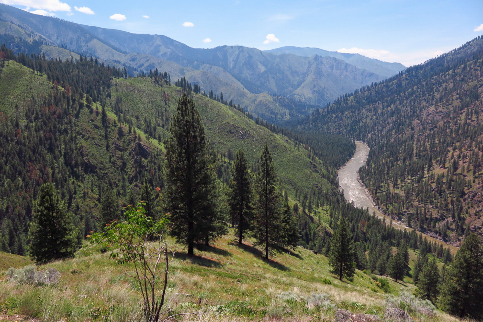 Life on the Bank: Hiking the River of No Return | Duct Tape Diaries | NRS