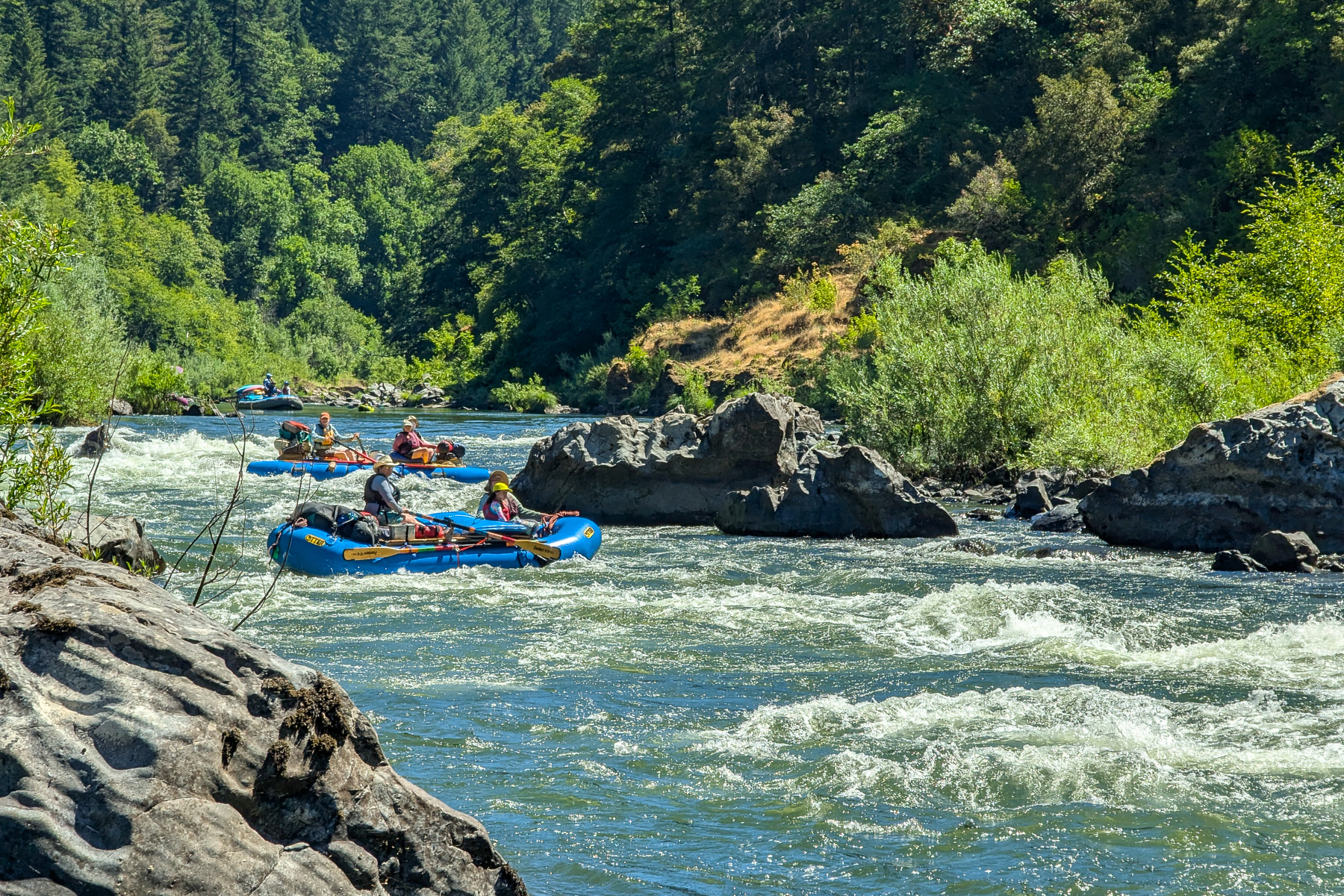 The Rogue, Rafting, and Raising the Next Generation of River Rats ...